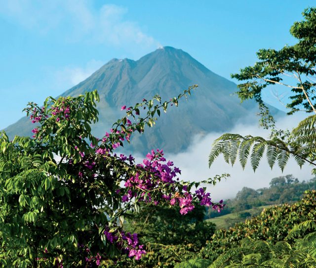 VBT Bicycling and Walking Vacations - Discover Active Travel