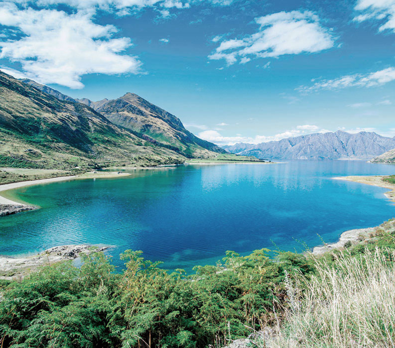 New Zealand Bike Tour | VBT Bicycling Vacations
