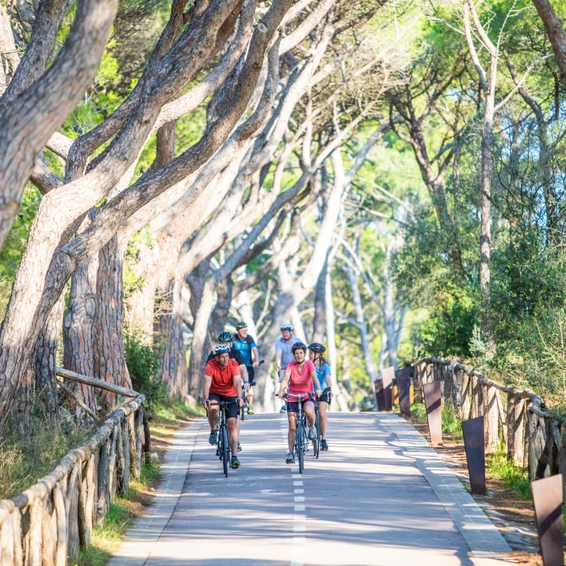 Self-Guided Bicycling Vacations - VBT Bicycling Vacations