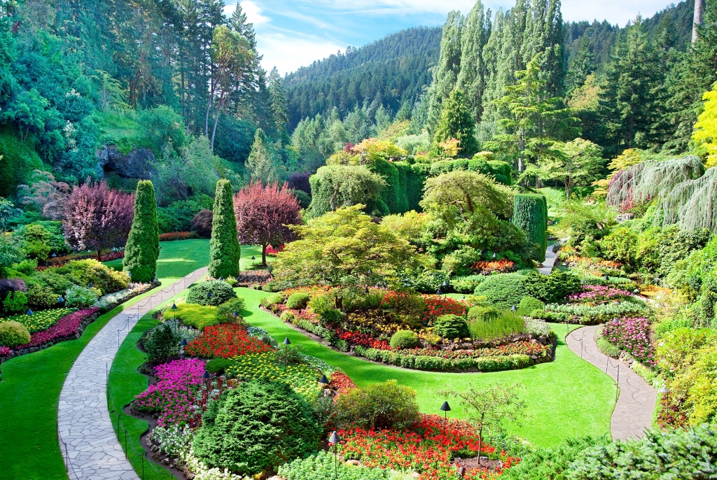 Bike Vancouver Island | VBT Bicycling Vacations